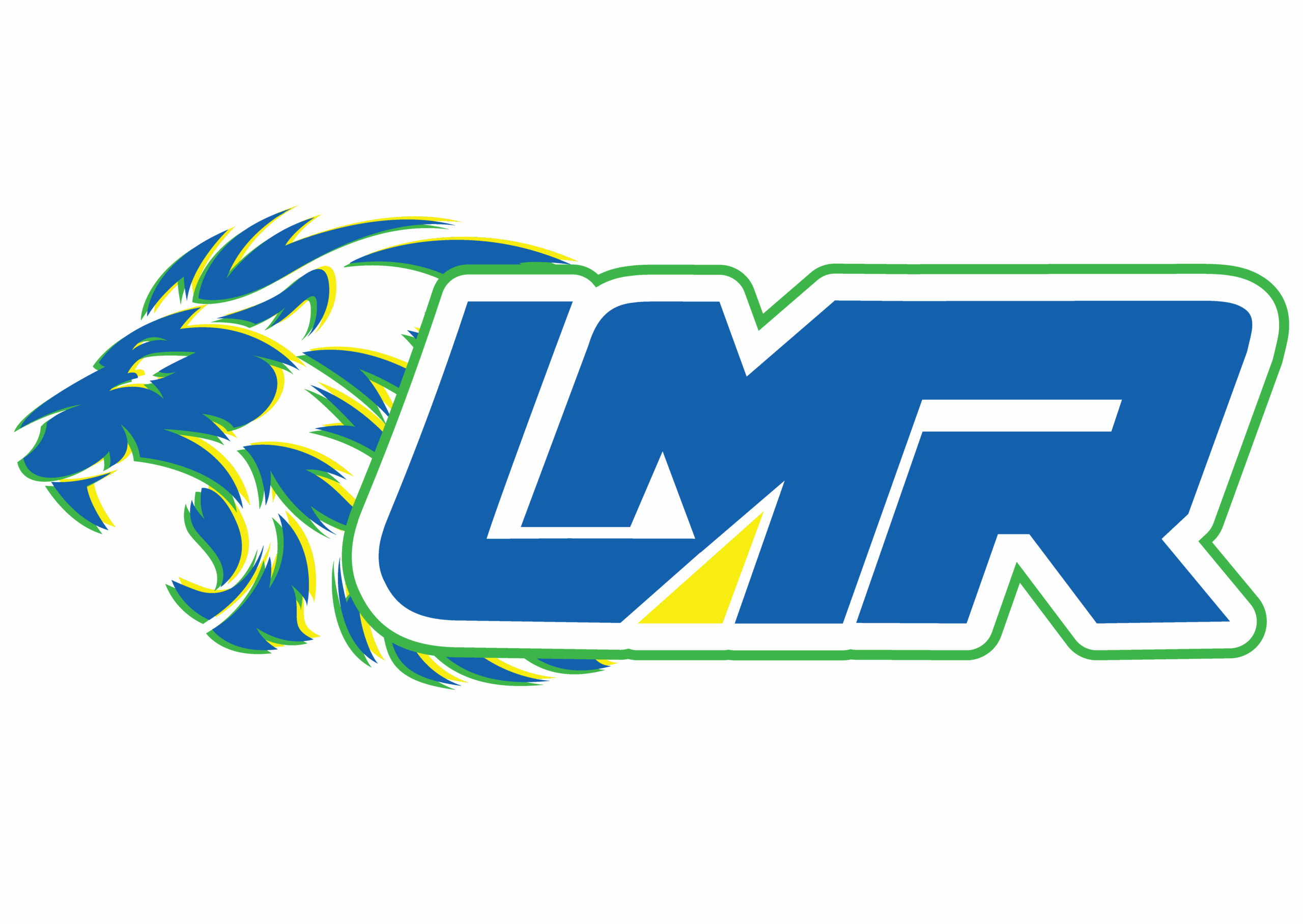 Our Team - LMR